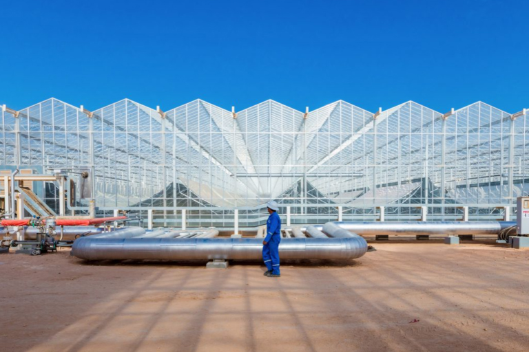 Our Solutions » Reinders Corporation®
