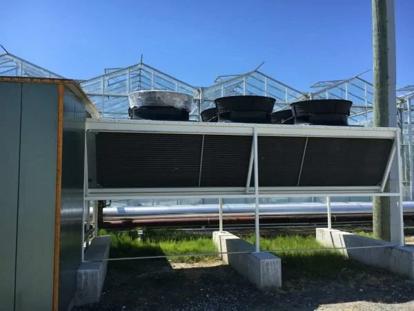 Koeltorens » Wereldmarktleiders - Enerdes | Reinders®